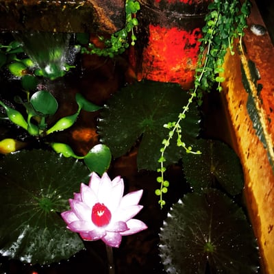 PERSON STREET BAR - Updated July 2024 - 29 Photos & 55 Reviews - 805 N ...