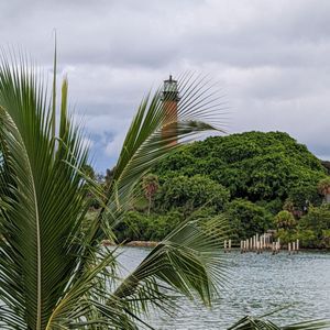 TOPSIDE AT THE BEACON - 96 Photos & 79 Reviews - 1107 Lighthouse ...