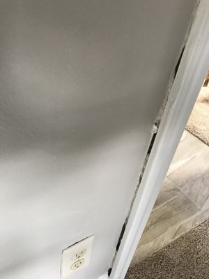 LOBOS MANAGEMENT - Updated January 2025 - 54 Photos & 202 Reviews - 233 ...