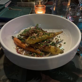 NEVER SAY DIVE - Updated March 2025 - 86 Photos & 32 Reviews - 4497 ...