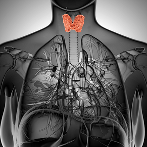 ROSEMARY BATES, MD - Updated April 2025 - 15 Reviews - 6300 Stonewood ...