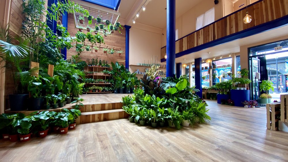 THE MELLOW SF - 51 Photos & 24 Reviews - 1401 Haight St, San Francisco ...