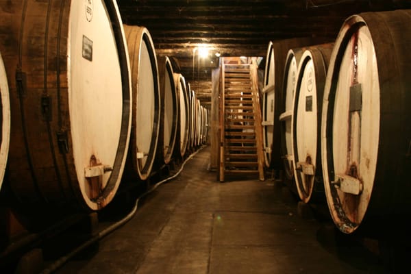 TAHBILK WINERY & VINEYARD - Updated July 2025 - 22 Photos - 254 O'Neils ...