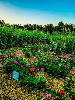 MERK FARMS - Updated October 2025 - 23 Photos - 233 Mitchell Rd ...