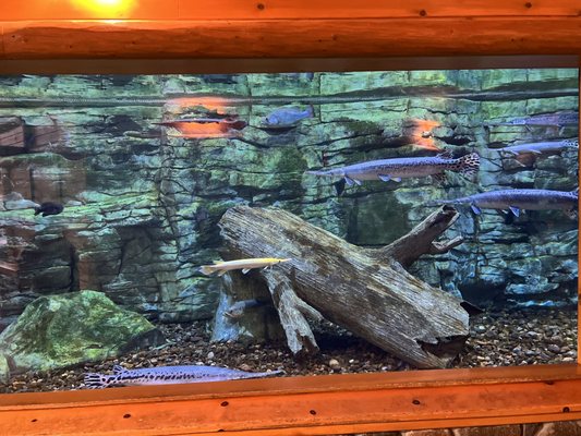 BASS PRO SHOPS - Updated October 2025 - 75 Photos - 66 Reviews - 10300 ...