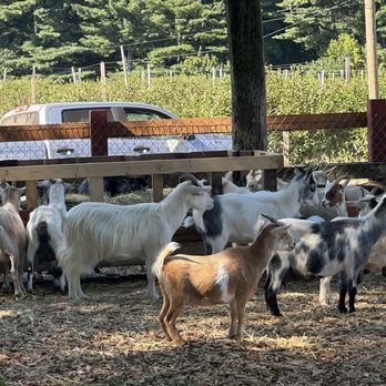 PARLEE FARMS - Updated October 2025 - 311 Photos & 154 Reviews - 95 ...