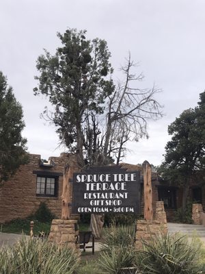 SPRUCE TREE TERRACE CAFE - Updated April 2025 - 13 Photos & 21 Reviews ...