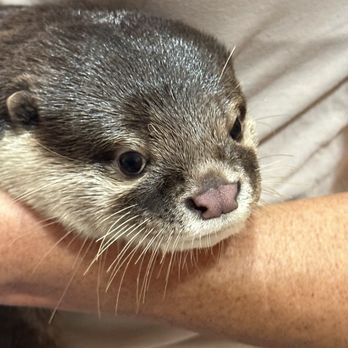 WILSTEM - Updated March 2025 - 332 Photos & 80 Reviews - 4229 W US-150 ...