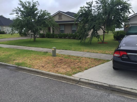 BUG-OUT SERVICE - Updated December 2025 - 28 Reviews - 1959 Kings Ave ...