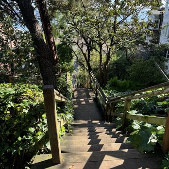 FILBERT STEPS - Updated December 2025 - 459 Photos & 250 Reviews ...