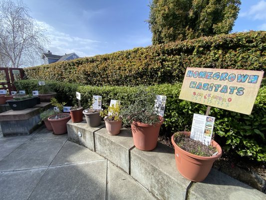 SAN LEANDRO PUBLIC LIBRARY - Updated December 2025 - 35 Photos & 46 ...