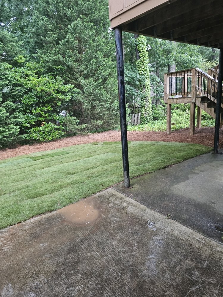 JOSE AGUILAR LAWN SERVICE - Updated October 2025 - 190 Photos & 14 ...