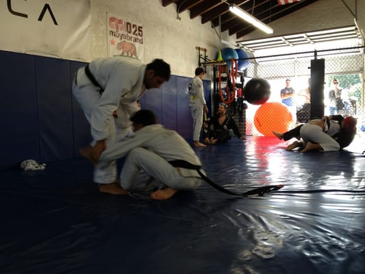 CHECKMAT BRAZILIAN JIU-JITSU - Updated November 2025 - 28 Photos & 19 ...