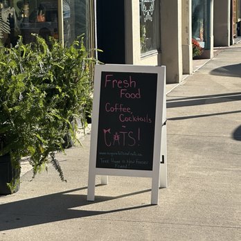 NIAGARA FALLS CAT CAFE - Updated January 2026 - 27 Photos - 4529 Queen ...