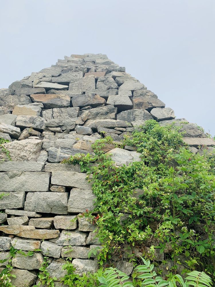 THE MEADE PYRAMID - Updated June 2024 - 11 Photos - Lee Dr ...