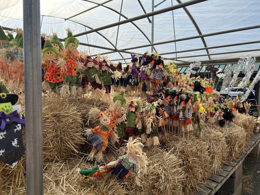 SECOR FARMS - Updated July 2025 - 238 Photos & 80 Reviews - 168 Airmont ...