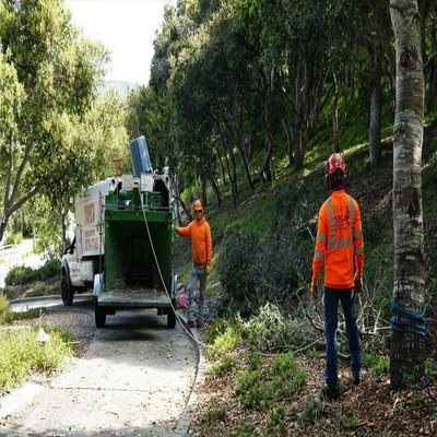 TOPE’S TREE SERVICE - Updated July 2024 - 37 Photos & 28 Reviews ...