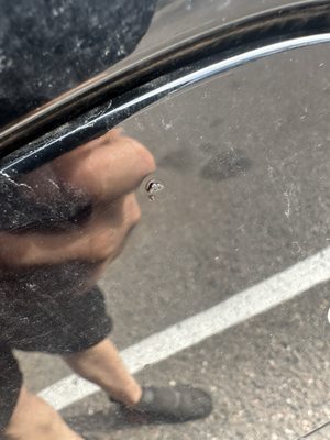 GERBER COLLISION & GLASS - Updated December 2025 - 40 Photos & 72 ...