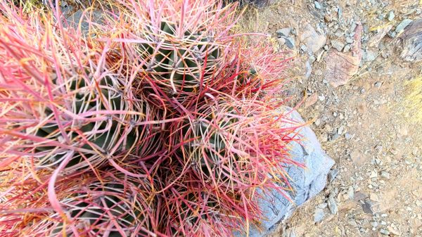 DREAMY DRAW RECREATION AREA - Updated October 2024 - 231 Photos & 72 ...