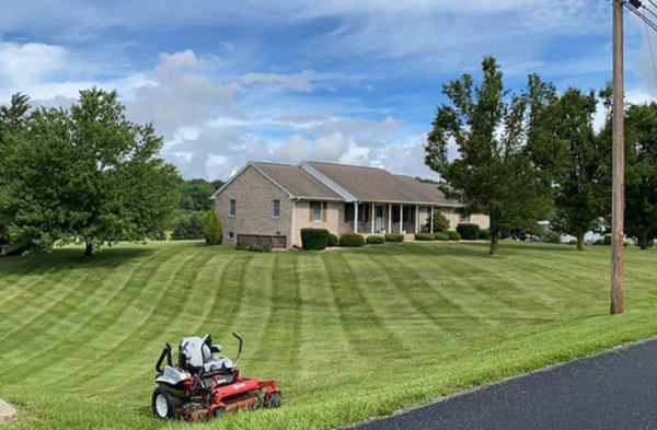 LAWN SHARKS LANDSCAPING - Updated December 2025 - 56 Photos - 57 ...