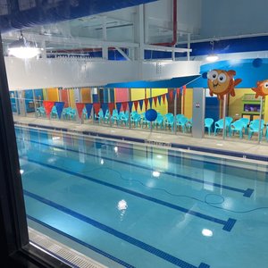 GOLDFISH SWIM SCHOOL - FLUSHING - 18 Photos - 133-27 39th Ave, Flushing ...