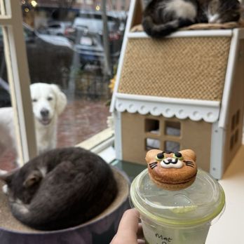 A SANCTUARY CAFE - Updated December 2025 - 54 Photos - 80 Charles St ...