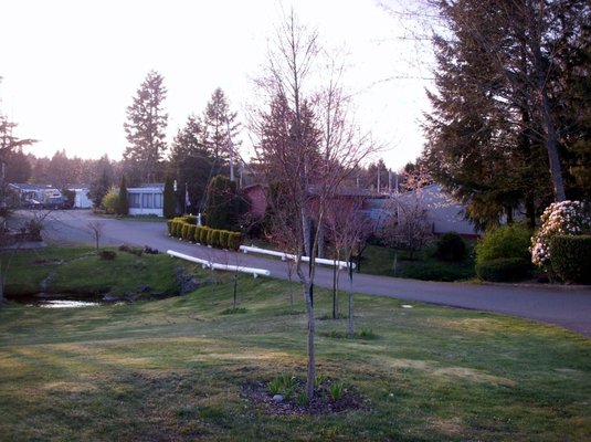 ALDERBROOK ESTATES - Updated October 2025 - 2110 54th Ave Sw Trlr 20 ...