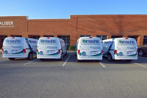 INSIGHT PEST SOLUTIONS - Updated December 2025 - 16 Photos & 161 ...