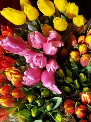 RAMON APONTE PARK - Updated October 2025 - 20 Photos - 8TH Ave, New ...