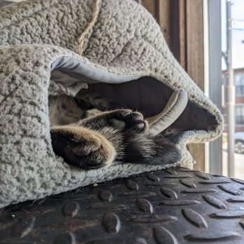 THE TIPSY TABBY - Updated December 2025 - 22 Photos & 19 Reviews - 90 ...