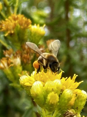 BACK BAY LOOP TRAIL - Updated December 2025 - 483 Photos & 169 Reviews ...