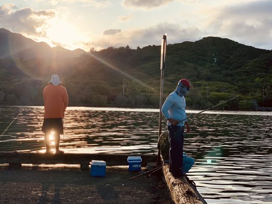 HEEIA KEA SMALL BOAT HARBOR - Updated June 2024 - 101 Photos - 46-499 ...