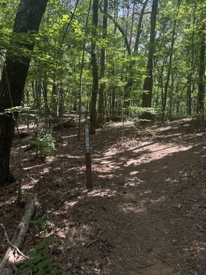 ELACHEE NATURE SCIENCE CENTER - Updated October 2025 - 68 Photos & 15 ...