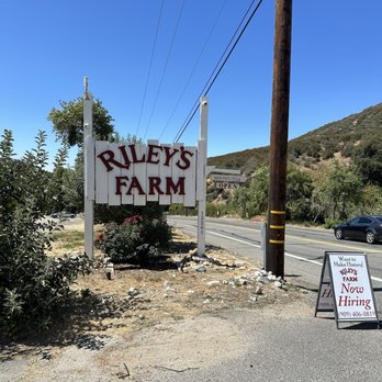 RILEY’S FARM - Updated December 2024 - 910 Photos & 434 Reviews - 12261 ...