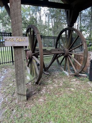 SOUTHERN FOREST WORLD - Updated June 2025 - 1440 N Augusta Ave ...