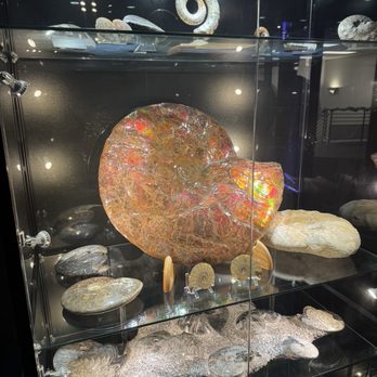 DINOSAUR PARK-MUSEUM GEORGE S ECCLES - Updated December 2025 - 276 ...