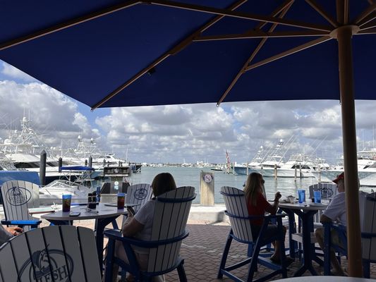 SAILFISH MARINA - Updated November 2025 - 912 Photos & 951 Reviews - 98 ...