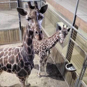 KEYSTONE SAFARI - Updated May 2024 - 125 Photos & 51 Reviews - 2284 ...