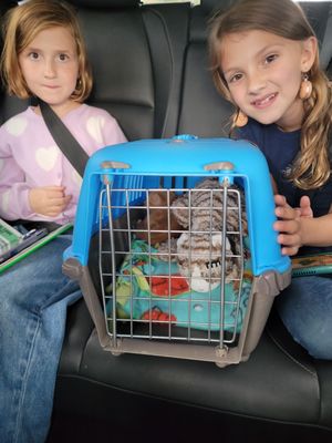 INDYHUMANE - Updated October 2025 - 172 Photos & 82 Reviews - 7929 N ...