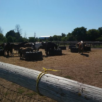 KNOBLOCK RIDING STABLE - Updated October 2025 - 23 Photos & 20 Reviews ...