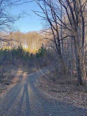 WHITNEY STATE FOREST - Updated December 2025 - 26 Photos - Lees Ridge ...