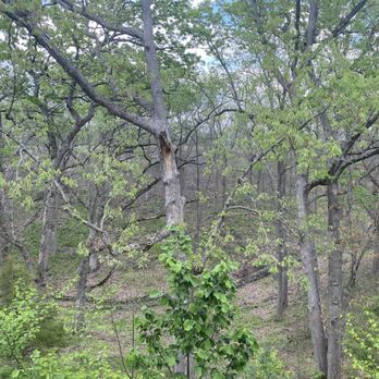 TEN CHIMNEYS - Updated June 2024 - 38 Photos & 16 Reviews - S43 W31575 ...