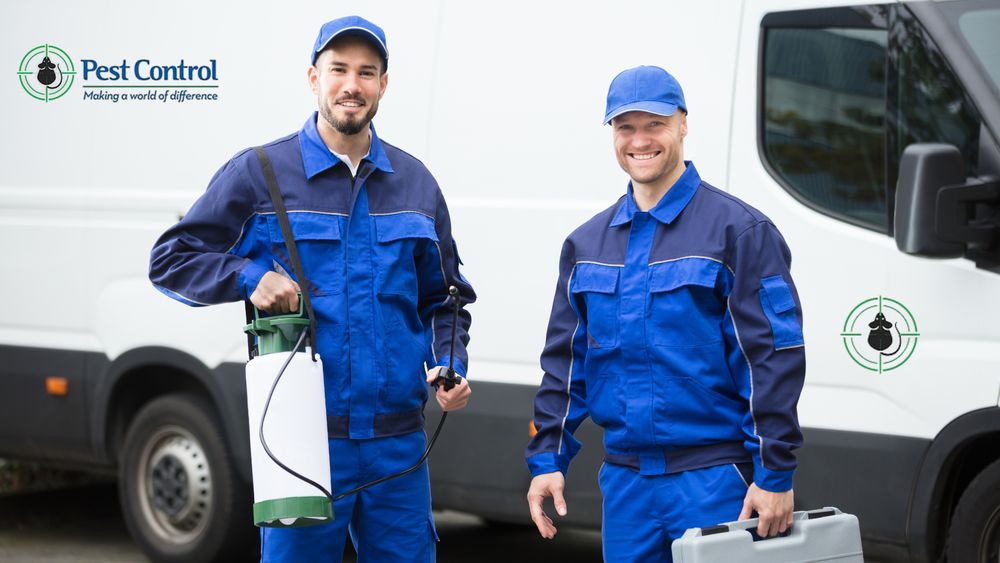 ASAP RODENT EXCLUSION PRO - Updated April 2025 - 167 Photos & 107 ...