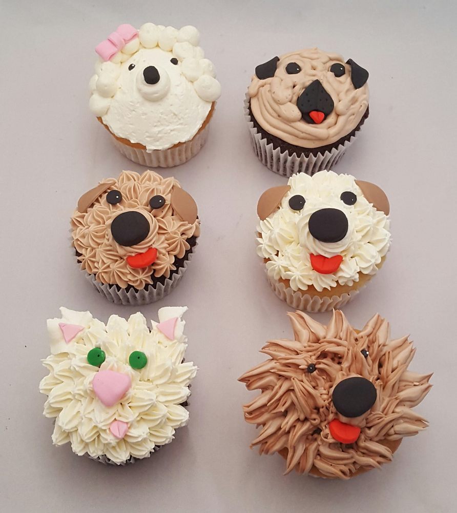 THE SLEEPY BAKER - 71 Photos & 34 Reviews - Cupcakes - Natick, MA ...