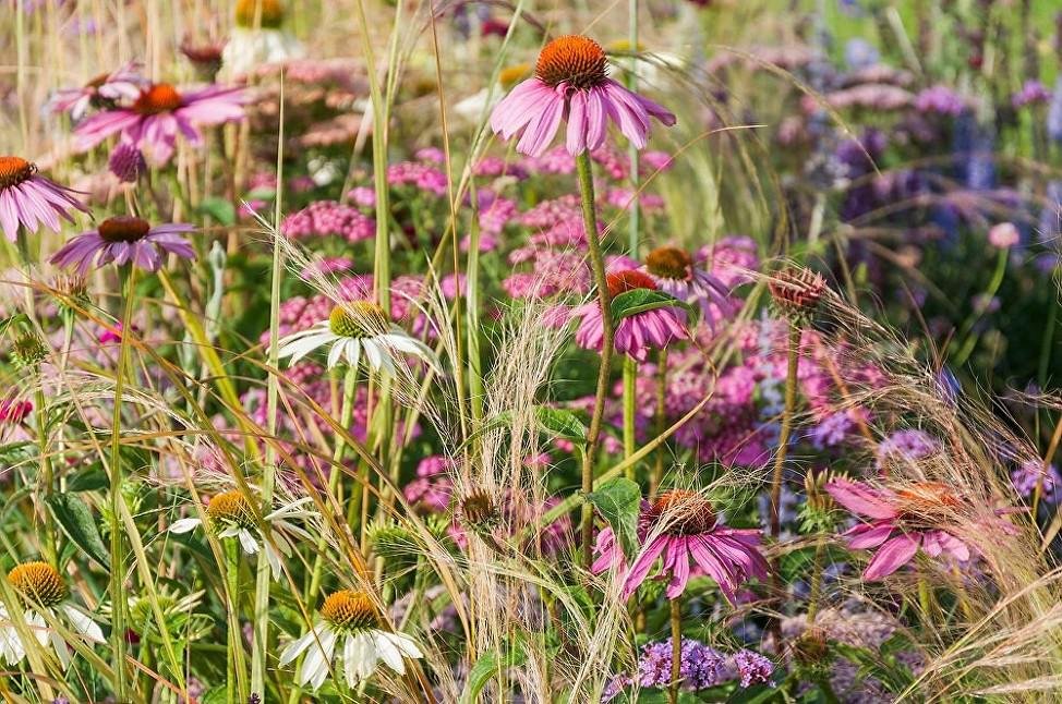 CRAIG T BAILEY LANDSCAPE DESIGN - Landscape Architects - Wistaston Road ...