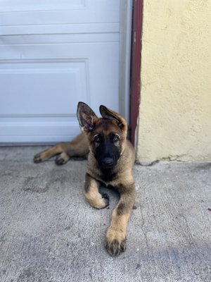 DR. BUTCHKO - 26 Photos & 53 Reviews - 5448 Mission Blvd, Riverside ...