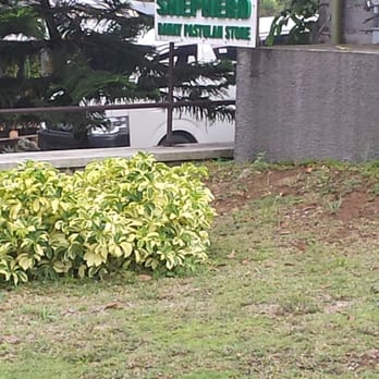 GOOD SHEPHERD BAHAY PASTULAN STORE - Updated September 2025 - Tagaytay ...