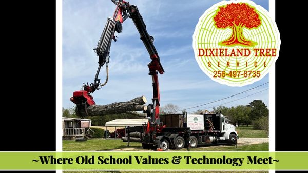 DIXIELAND TREE SERVICES - Updated December 2025 - 11 Photos ...