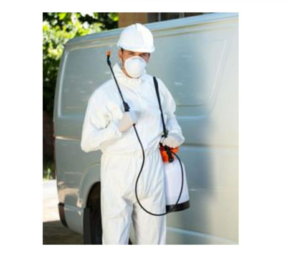 VALLEY PEST CONTROL - Updated July 2025 - 81 E Freeport Blvd, Sparks ...