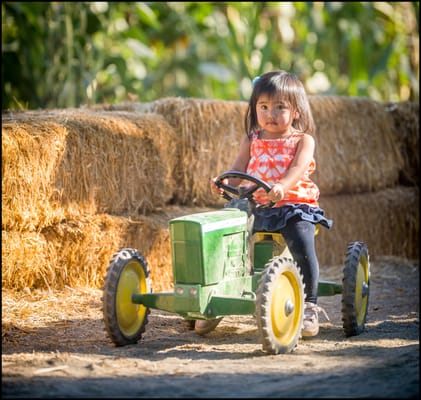 LOMBARDI RANCH - Updated January 2026 - 17 Photos & 17 Reviews - 29527 ...